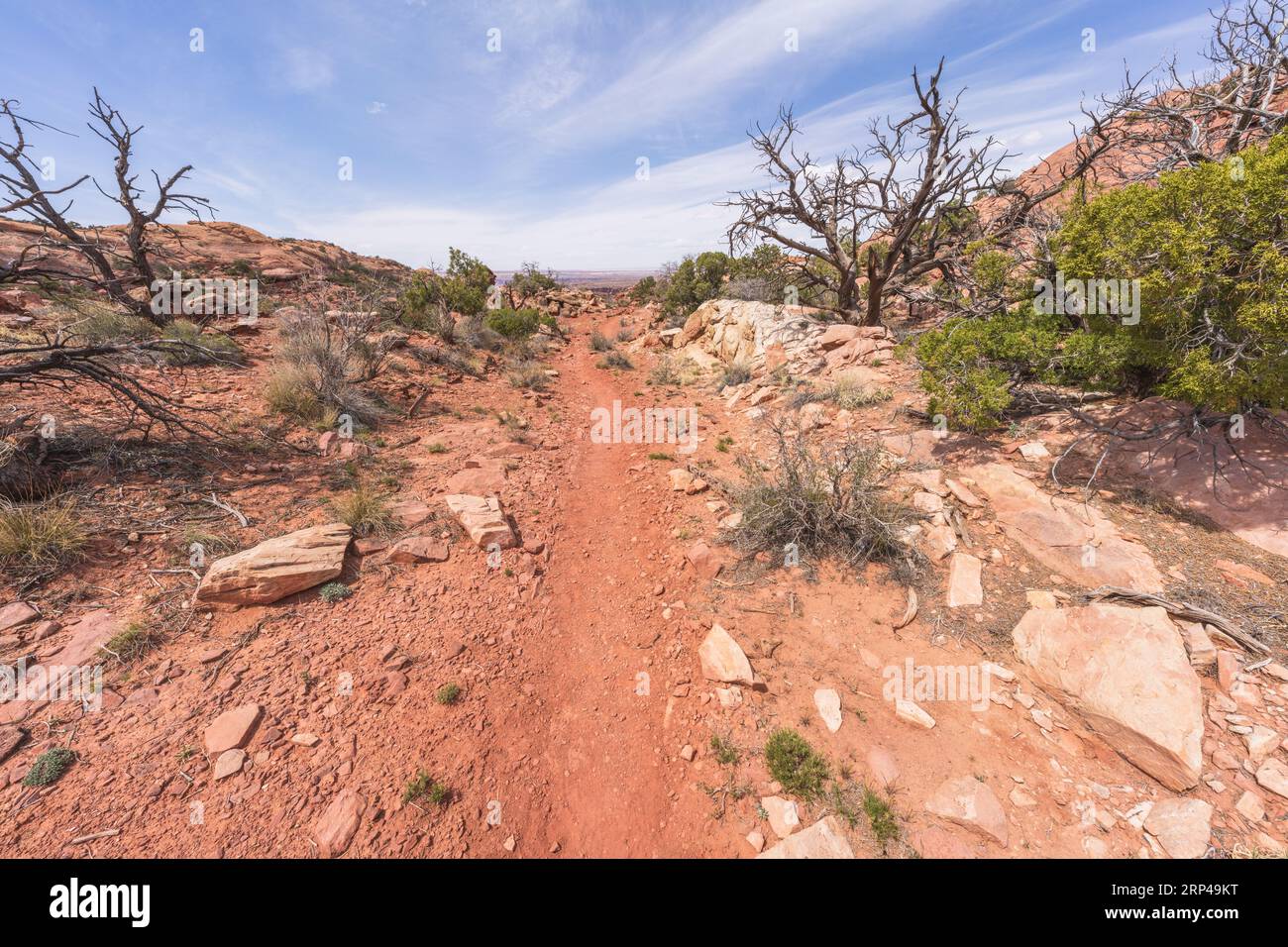 hiking the syncline loop trail in island in the sky district of ...