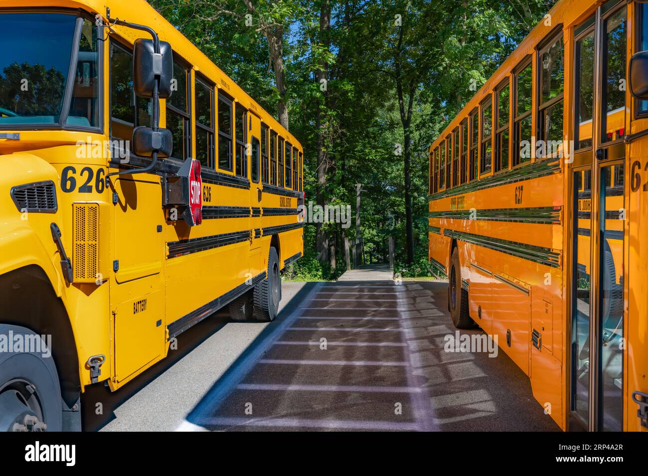 Front of a parked yellow school bus number 626 Stock Photo - Alamy