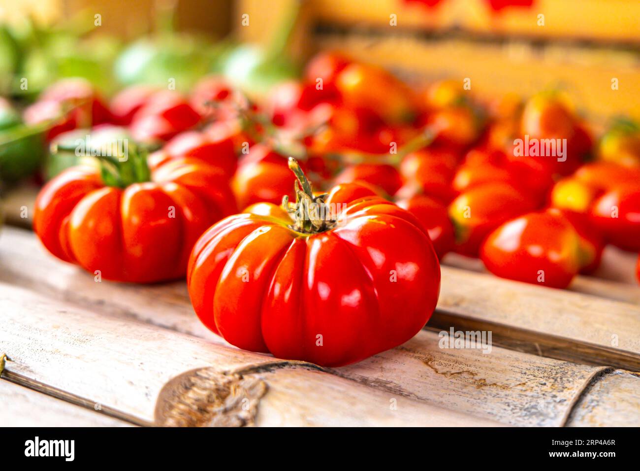 The Art of Cultivation: Exploring Red Tomato Farms Stock Photo - Alamy