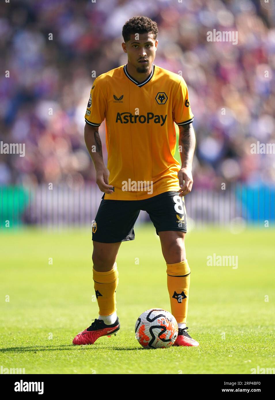 Wolverhampton Wanderers' Joao Gomes in action during the Premier League ...
