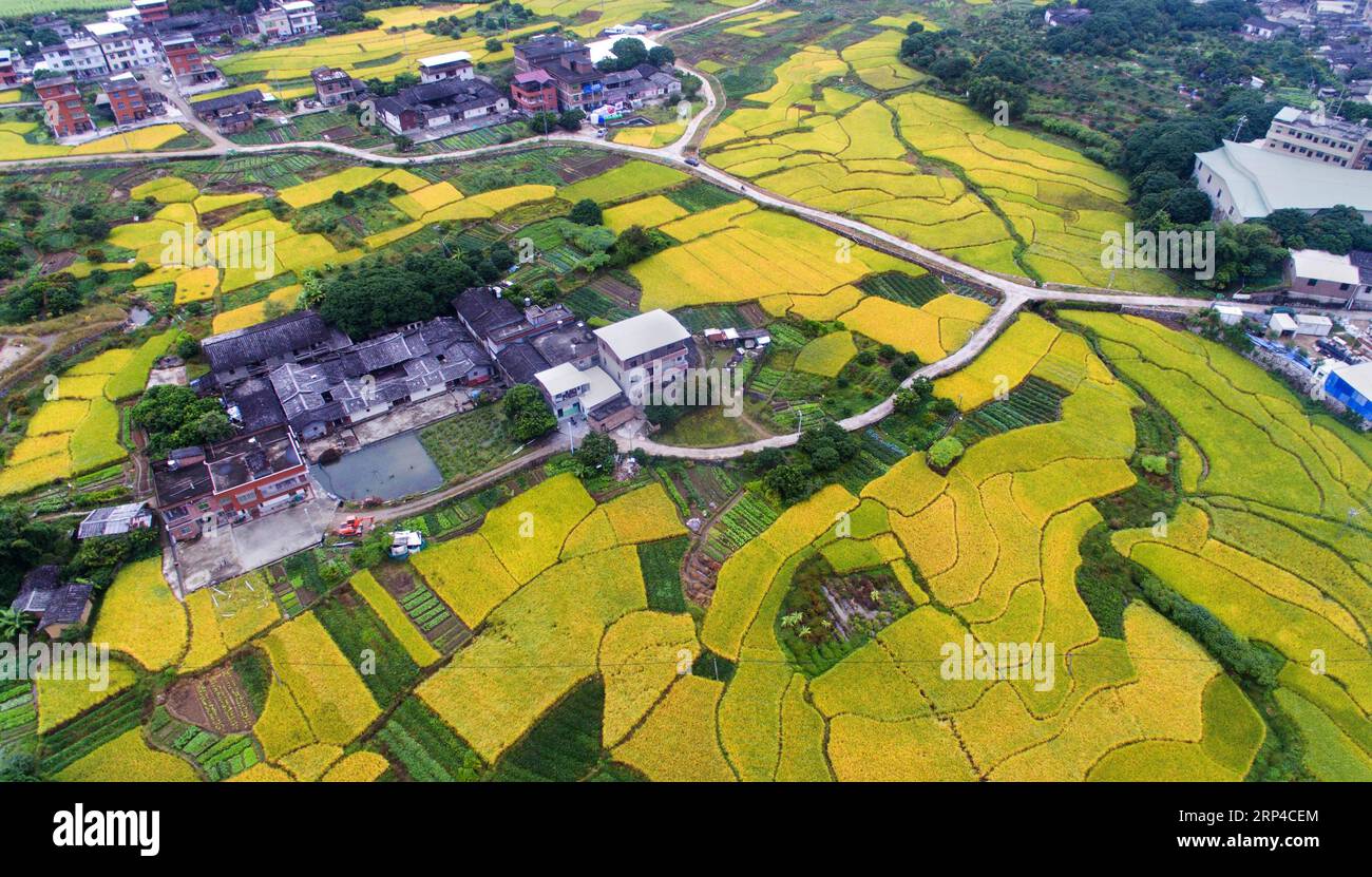 (181104) -- QUANZHOU, Nov. 4, 2018 -- Aerial photo taken on Nov. 4 ...