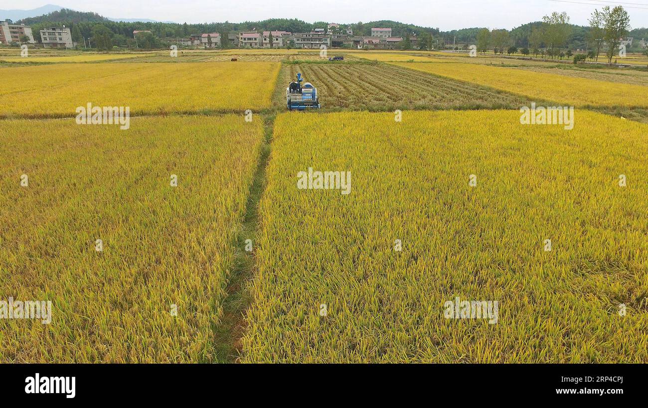 Born 2 farm hi-res stock photography and images - Alamy