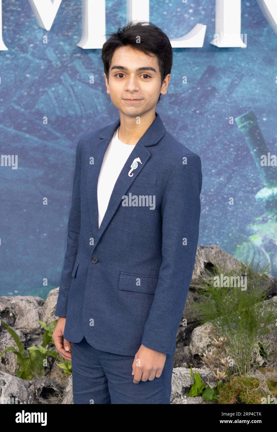 Alexander molony hi-res stock photography and images - Alamy