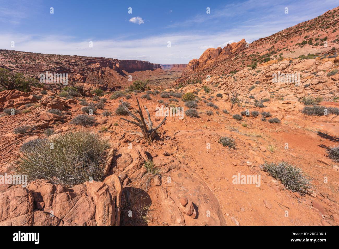 hiking the syncline loop trail in island in the sky district of ...