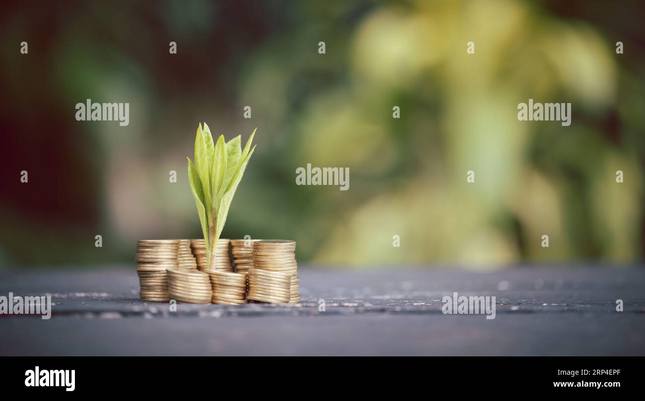 Coin pile and blurred green nature background money growth concept and ...