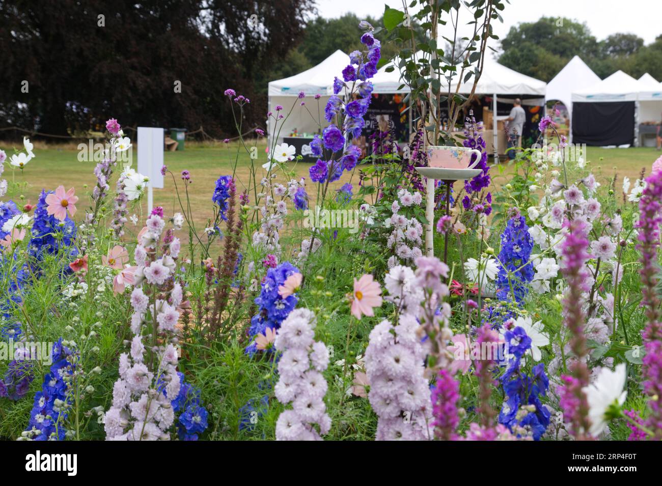 The second Gardeners World Autumn Fair at Audley End House and Gardens ...