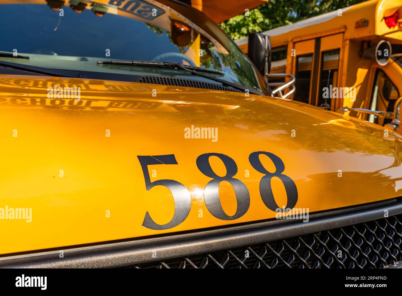 Front of a parked yellow school bus number 588 Stock Photo - Alamy