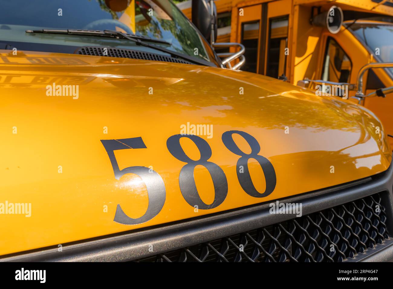 School bus number hi-res stock photography and images - Alamy