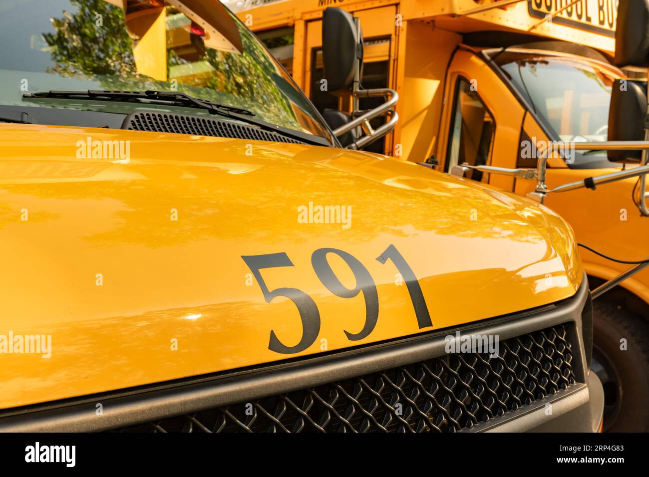 Front of a parked yellow school bus number 591 Stock Photo - Alamy