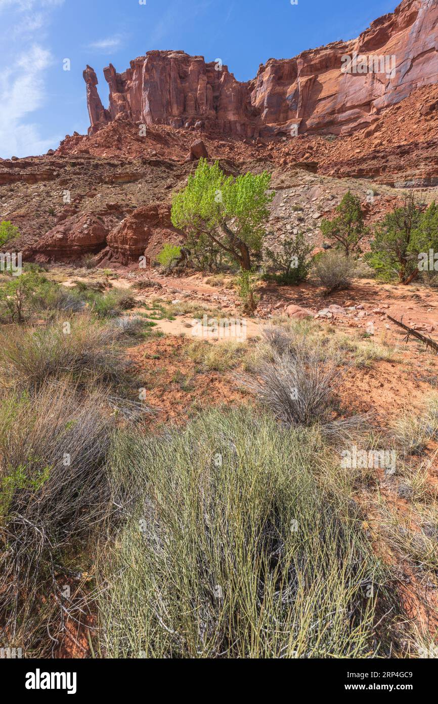 hiking the syncline loop trail in island in the sky district of ...