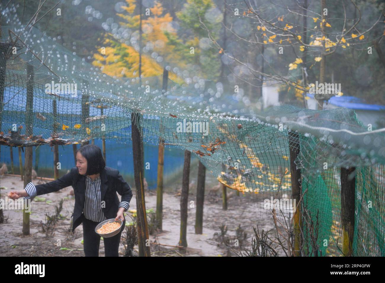 China anhui yuexi economy hi-res stock photography and images - Alamy