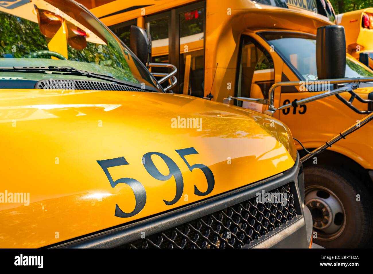 Front of a parked yellow school bus number 595 Stock Photo - Alamy