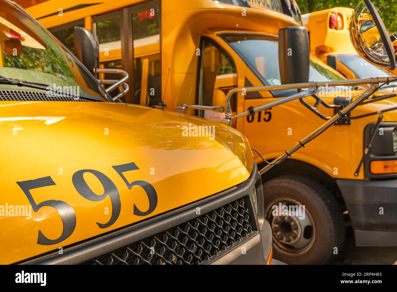 Front of a parked yellow school bus number 595 Stock Photo - Alamy