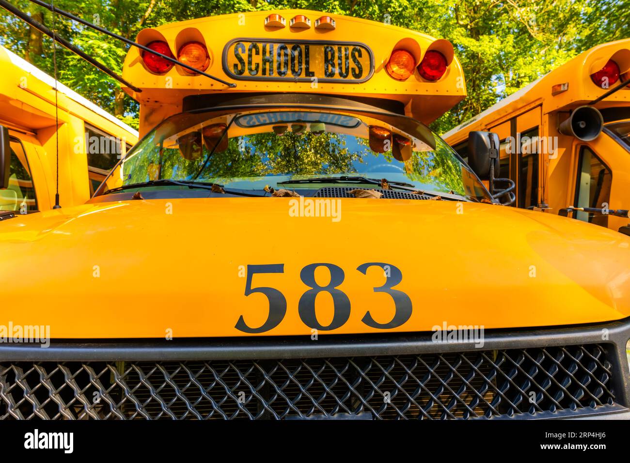 Front of a parked yellow school bus number 583 Stock Photo - Alamy
