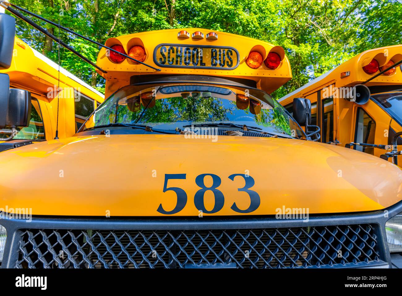 Front of a parked yellow school bus number 583 Stock Photo - Alamy