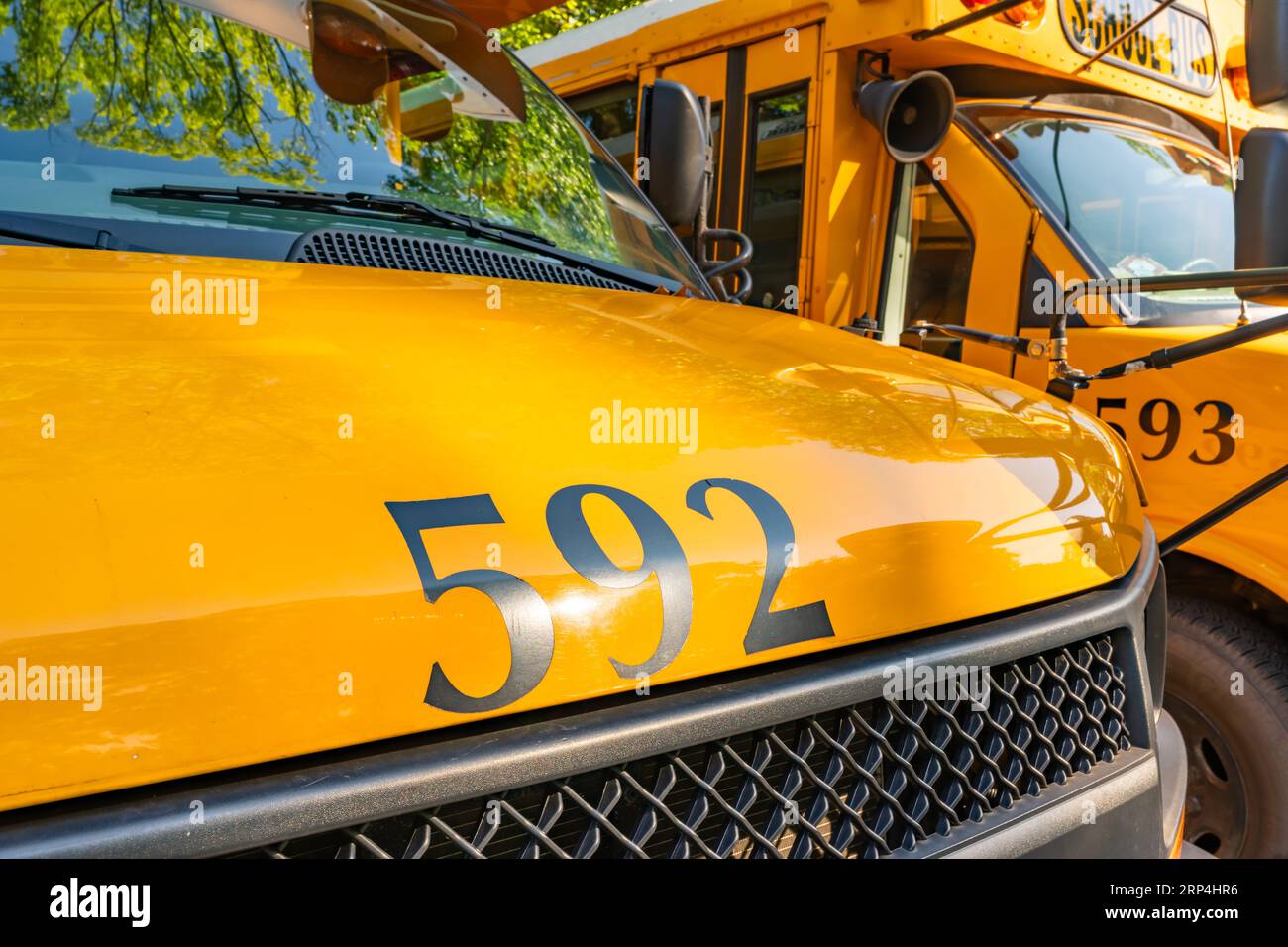 Front of a parked yellow school bus number 592 Stock Photo - Alamy