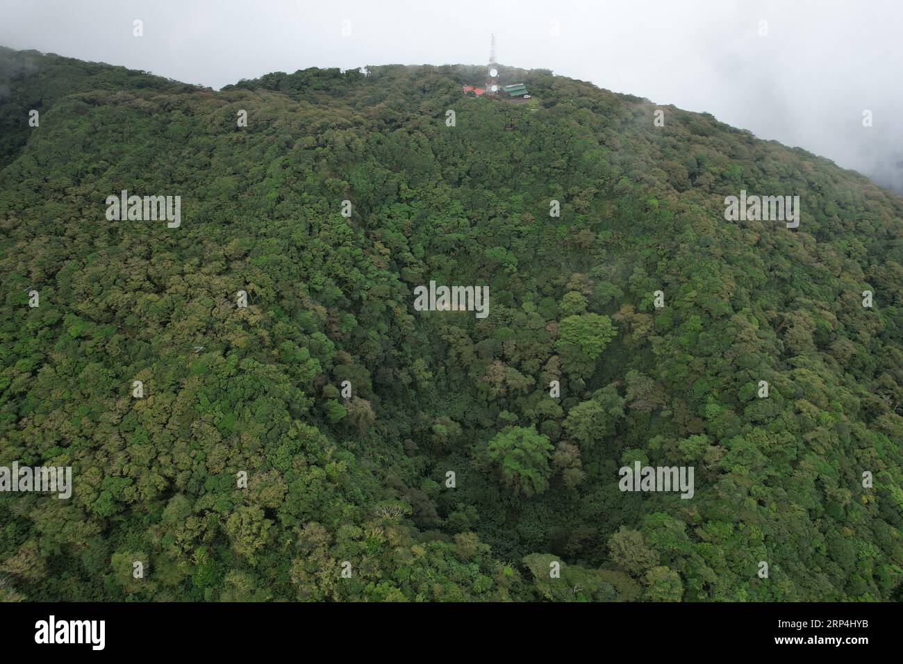 Drone nature trail hi-res stock photography and images - Alamy