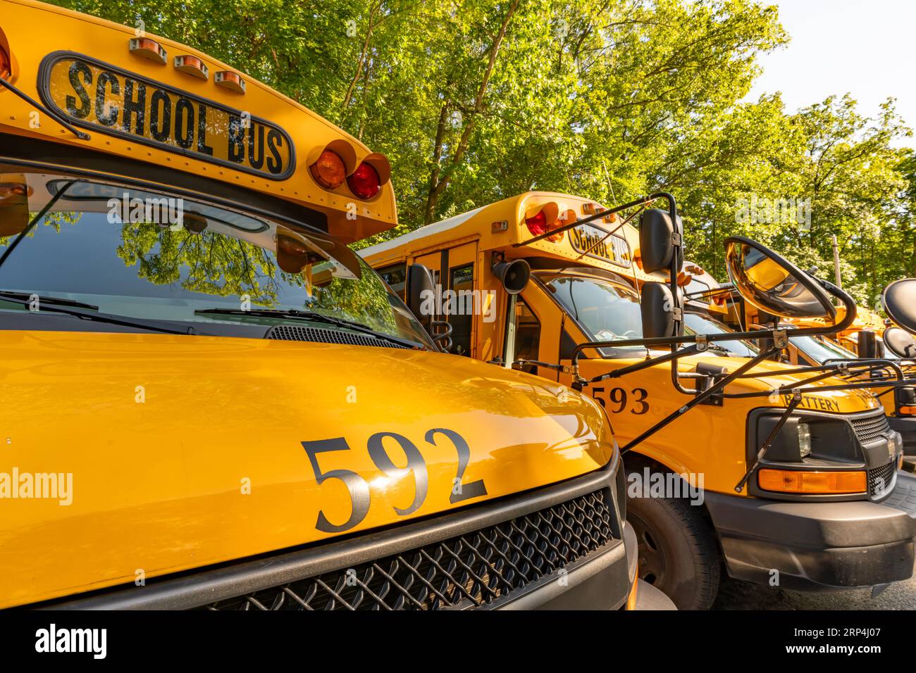 Front of a parked yellow school bus number 592 Stock Photo - Alamy