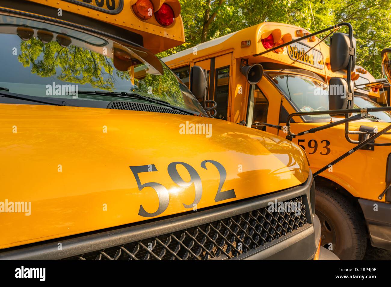 Front of a parked yellow school bus number 592 Stock Photo - Alamy