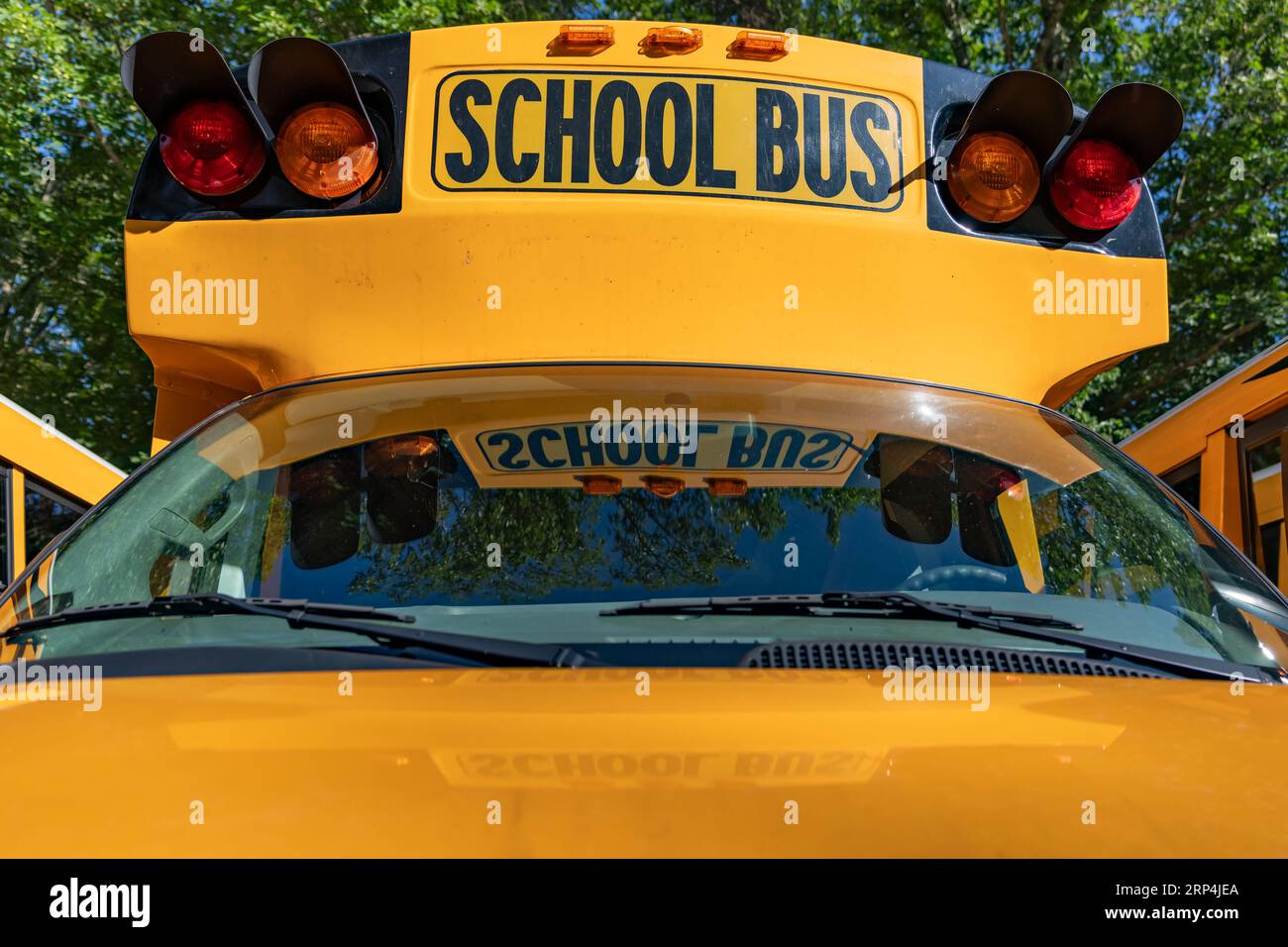 Front of a parked yellow school bus Stock Photo - Alamy