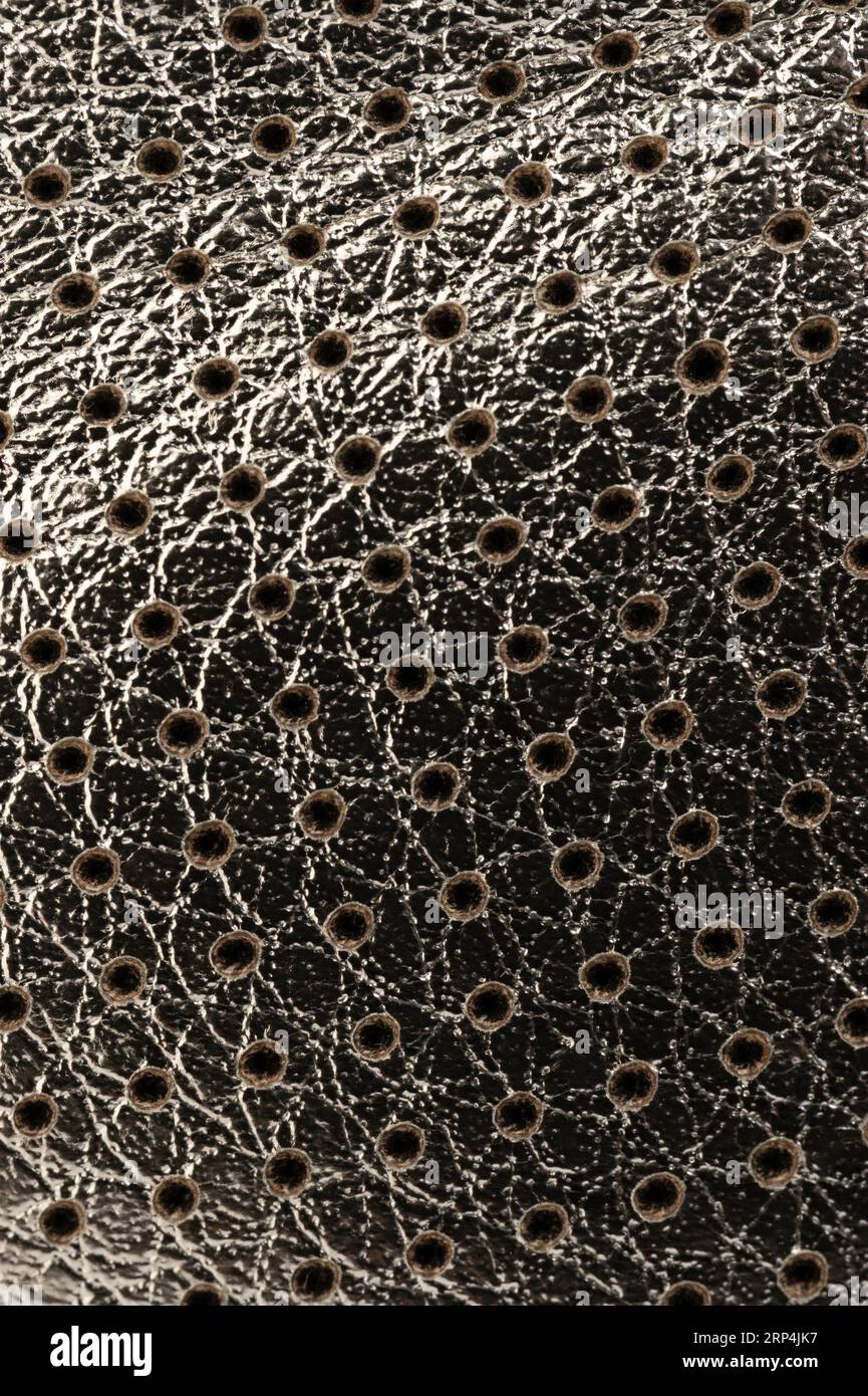 Shiny metallic leather texture perforated macro close up view Stock ...