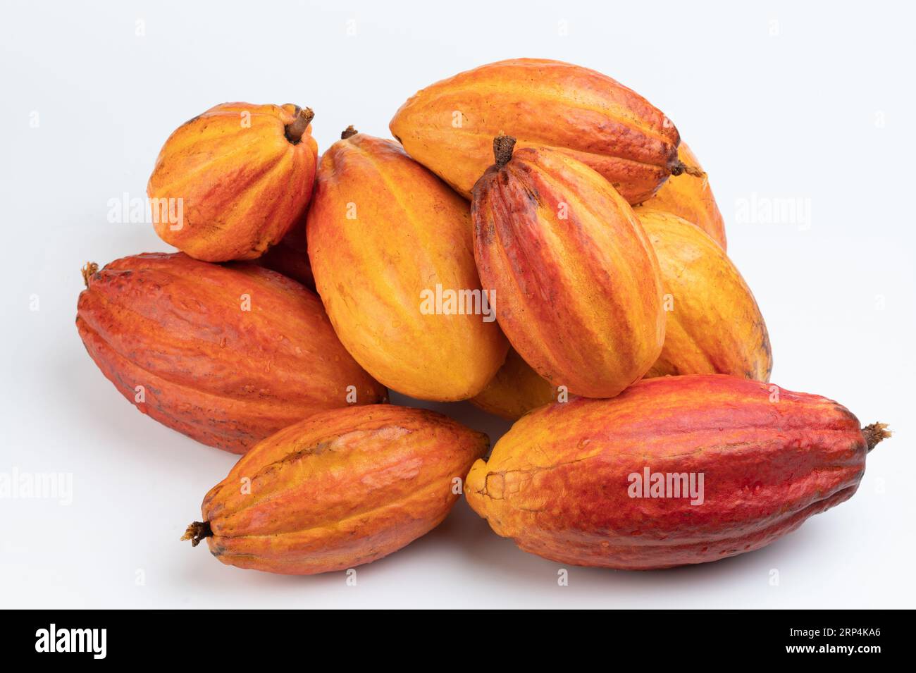 Wet fresh cocao orange pods above top view isolated Stock Photo - Alamy