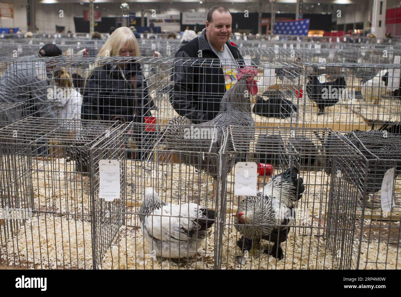 Royal visit toronto hi-res stock photography and images - Alamy