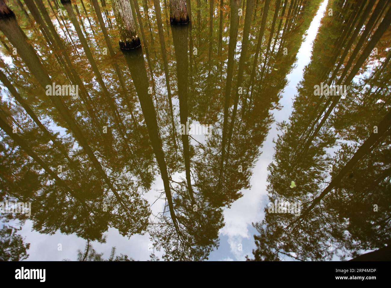 Yangzhou luyang lake wetland park hi-res stock photography and images ...