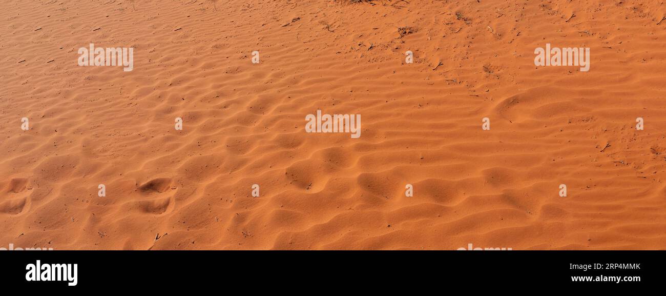 Red Desert Texture