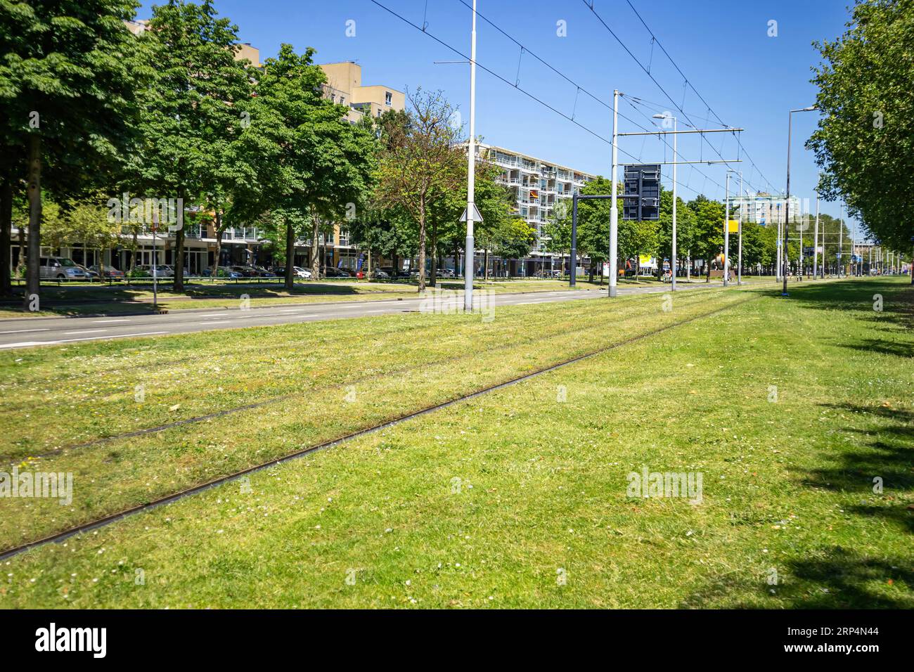 Tram track. Empty tramway covered with grass. Pair of parallel metal ...