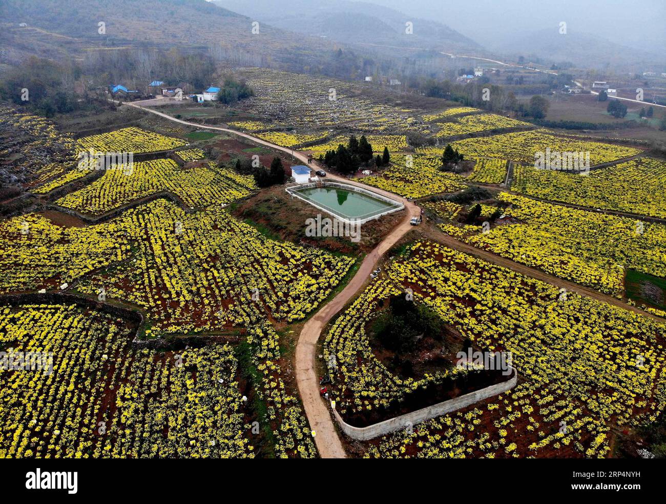 Shuigou hi-res stock photography and images - Alamy
