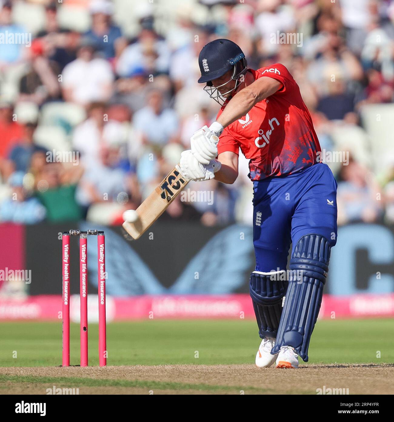 Will jacks hi-res stock photography and images - Alamy