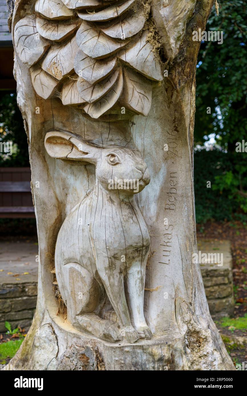 Hare Carved into tree in Richmond North Yorkshire Stock Photo - Alamy