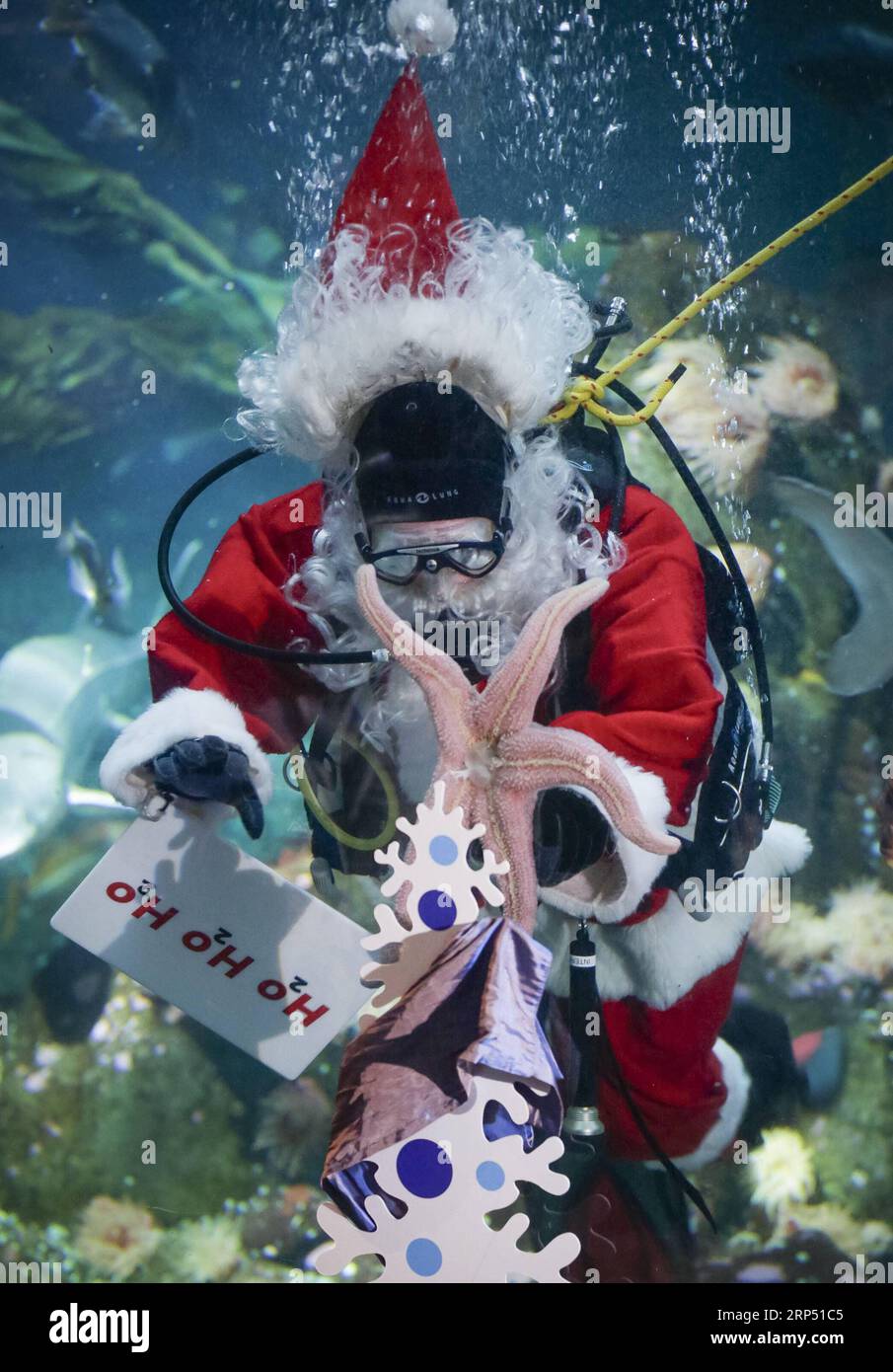 (181123) -- VANCOUVER, Nov. 23, 2018 -- A diver dressed as Scuba Santa ...