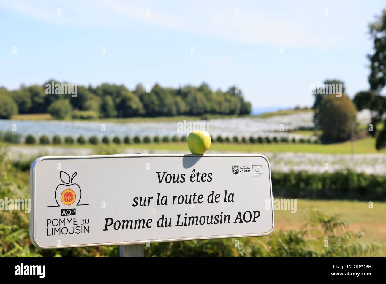 La consommation de fruits hi-res stock photography and images - Alamy