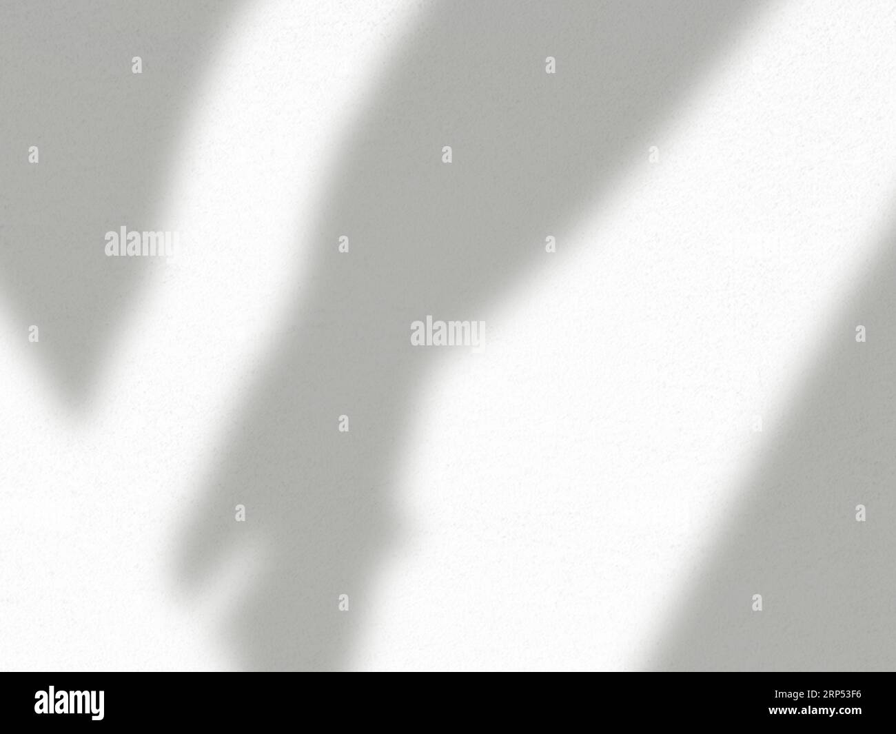Organic plant shadow overlay hi-res stock photography and images - Alamy