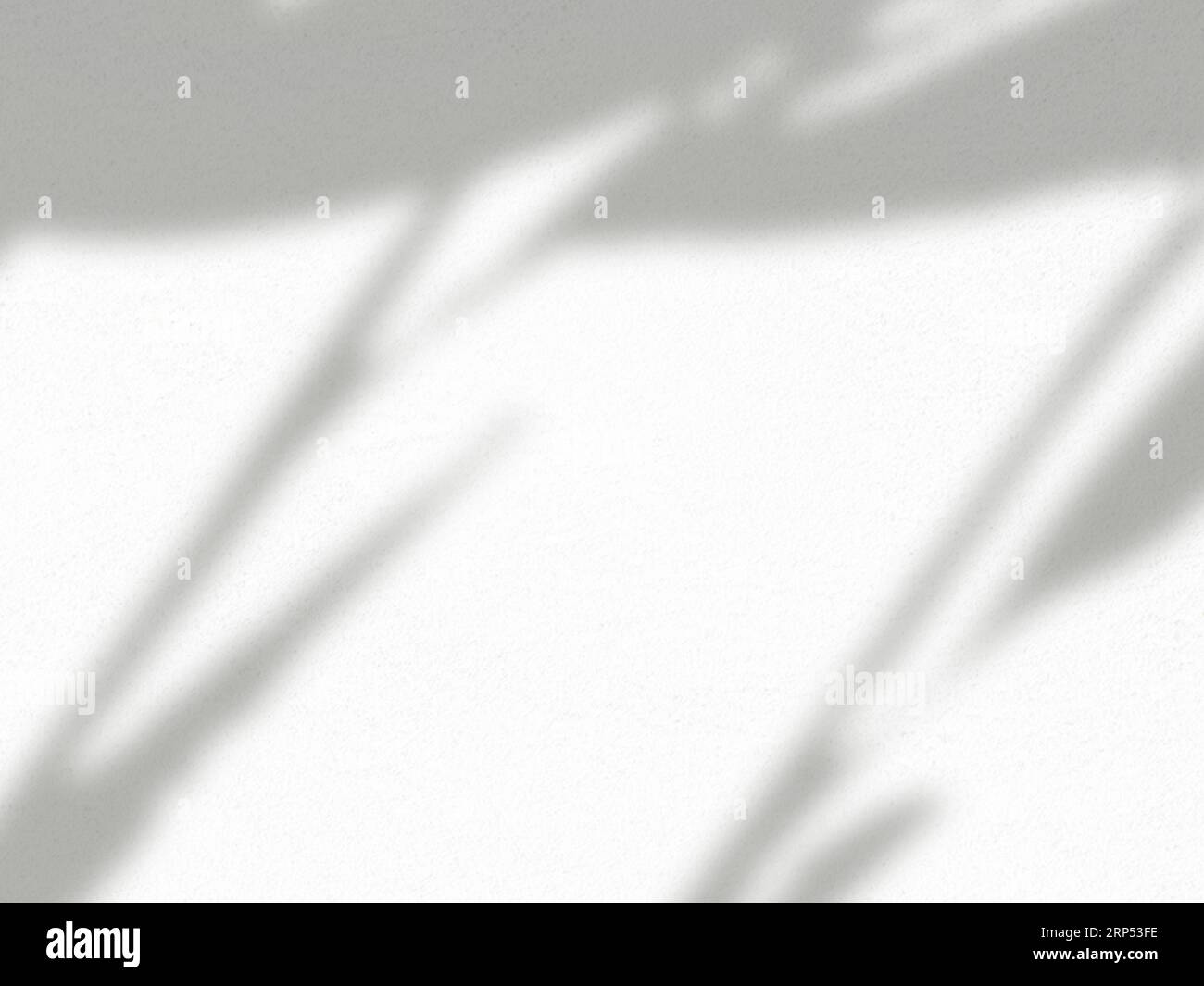 Organic plant shadow overlay hi-res stock photography and images - Alamy