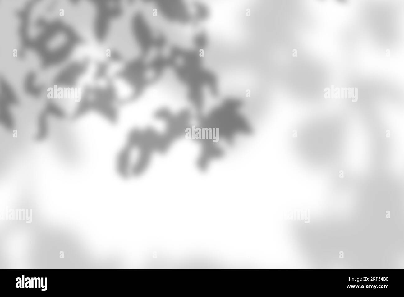 Sunlight shadow on abstract white wall background texture Stock Photo ...