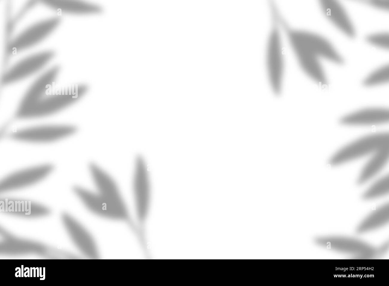 leaf shadow overlay effect. white background with tropical leaves ...