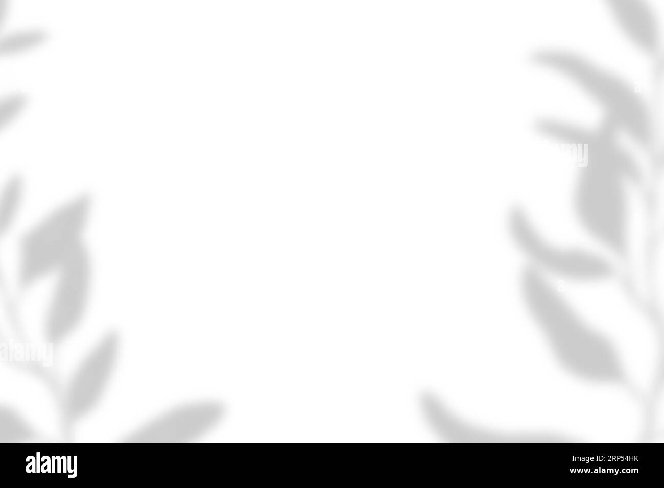 leaf shadow overlay effect. white background with tropical leaves ...