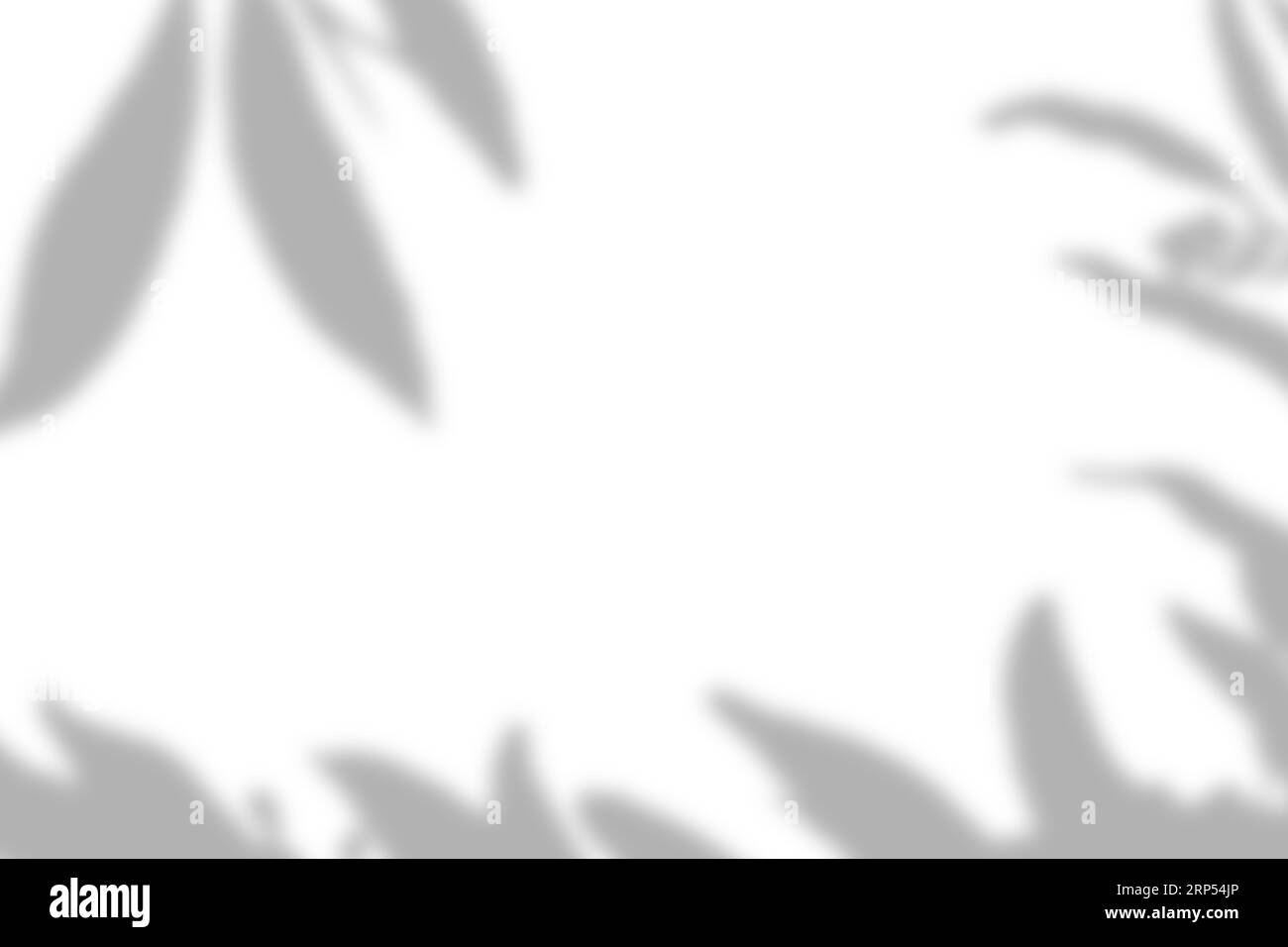 leaf shadow overlay effect. white background with tropical leaves ...