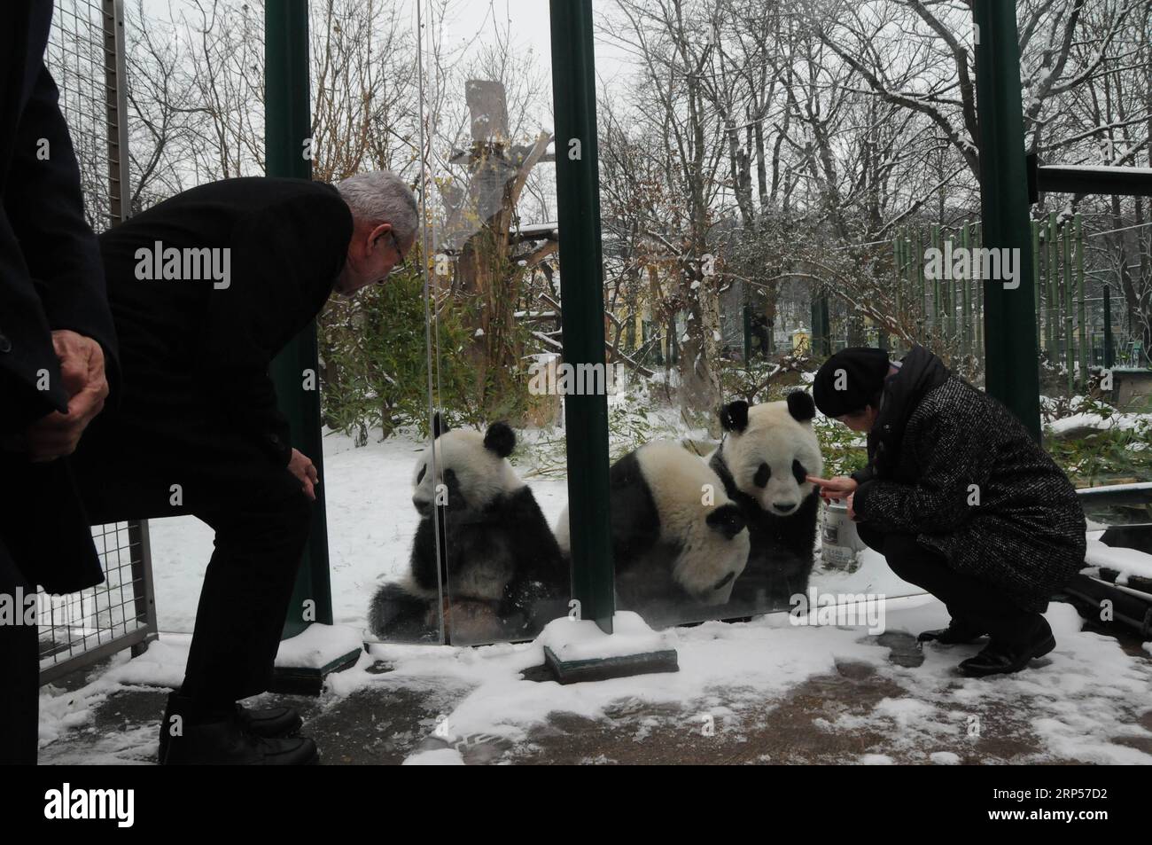 (181201) -- VIENNA, Dec. 1, 2018 -- Austrian President Alexander Van ...