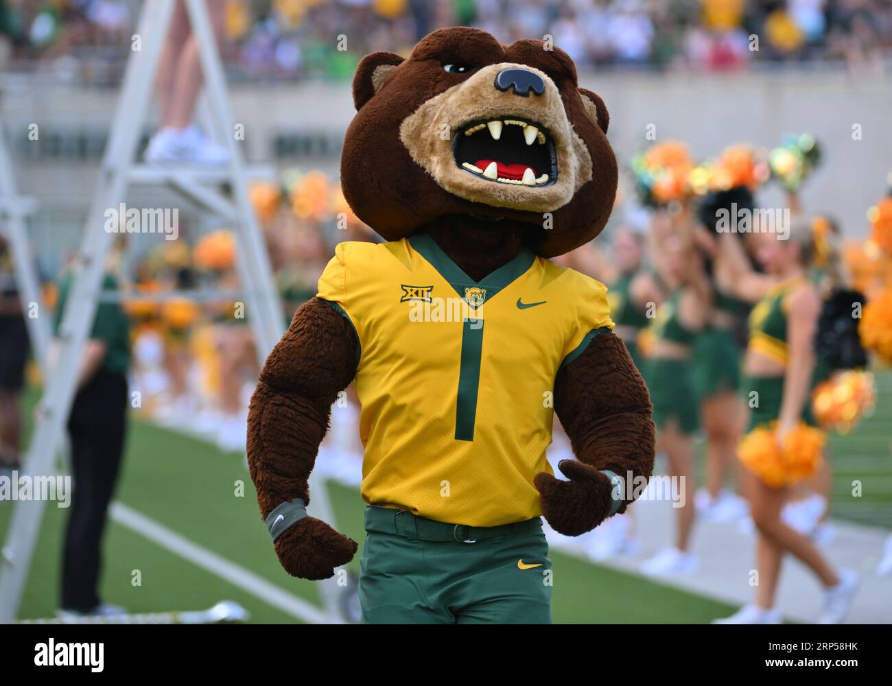 Waco, Texas, USA. 2nd Sep, 2023. Baylor Bears mascot before the 1st ...
