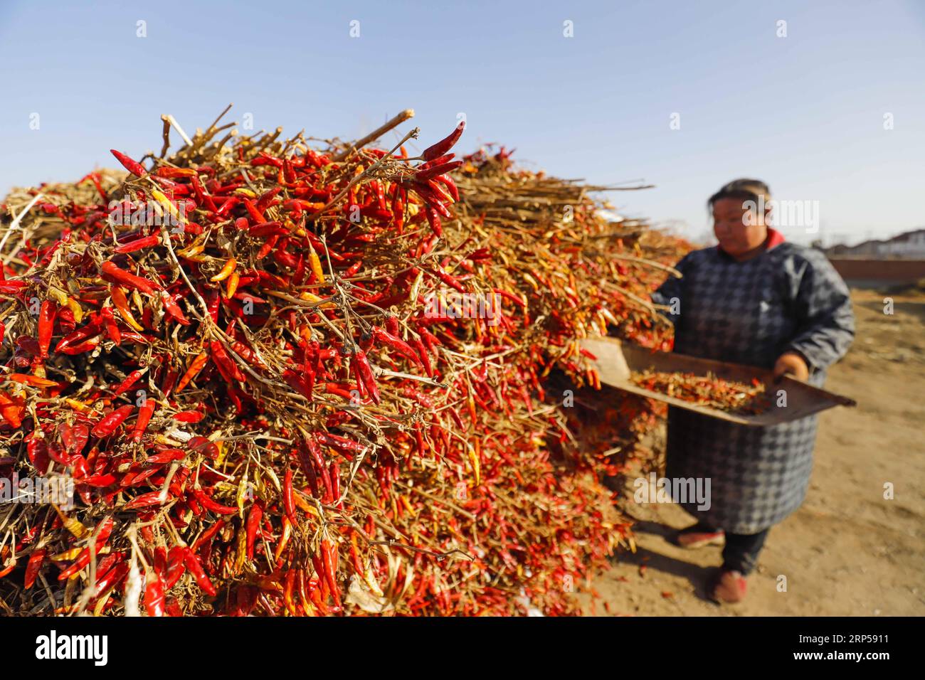 Liu yutian hi-res stock photography and images - Alamy