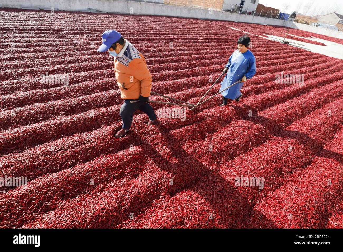 Liu yutian hi-res stock photography and images - Alamy