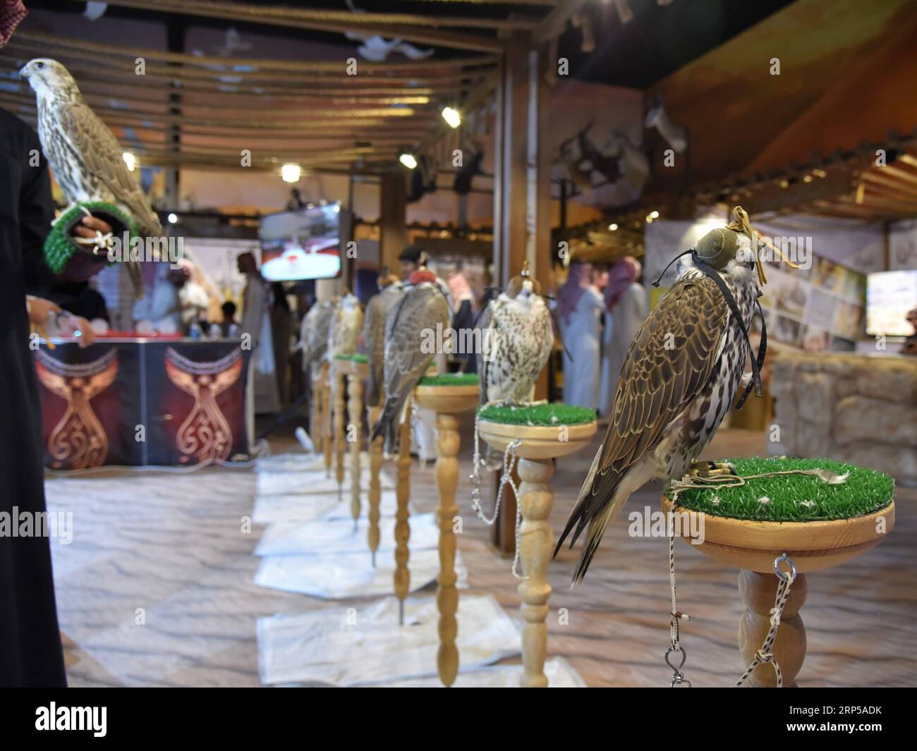 (181205) -- RIYADH, Dec. 5, 2018 -- Falcons are seen at the Saudi ...