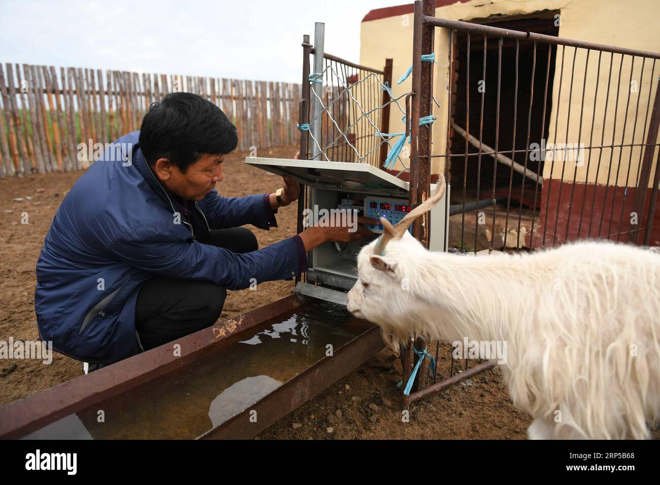 (181207) -- BEIJING, Dec. 7, 2018 (Xinhua) -- A herdsman checks the ...