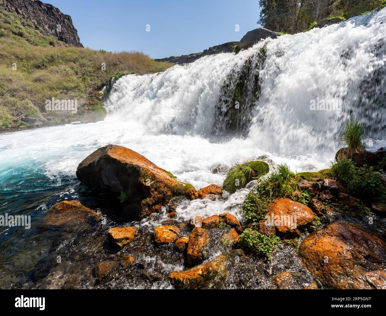 Thousand spring hi-res stock photography and images - Alamy