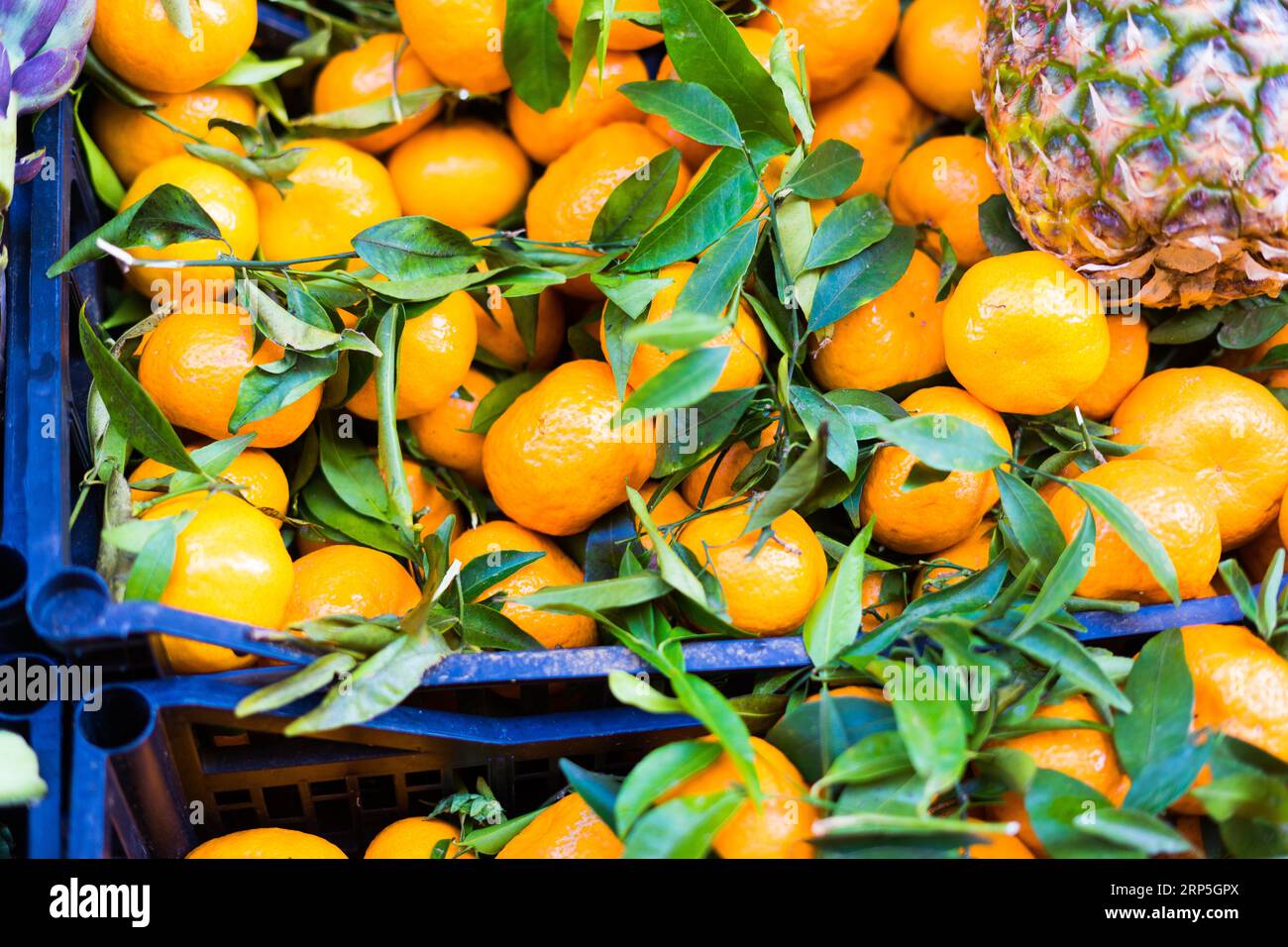 Open air market in Italy, different fruit. Madeira's fruits, pineapple ...
