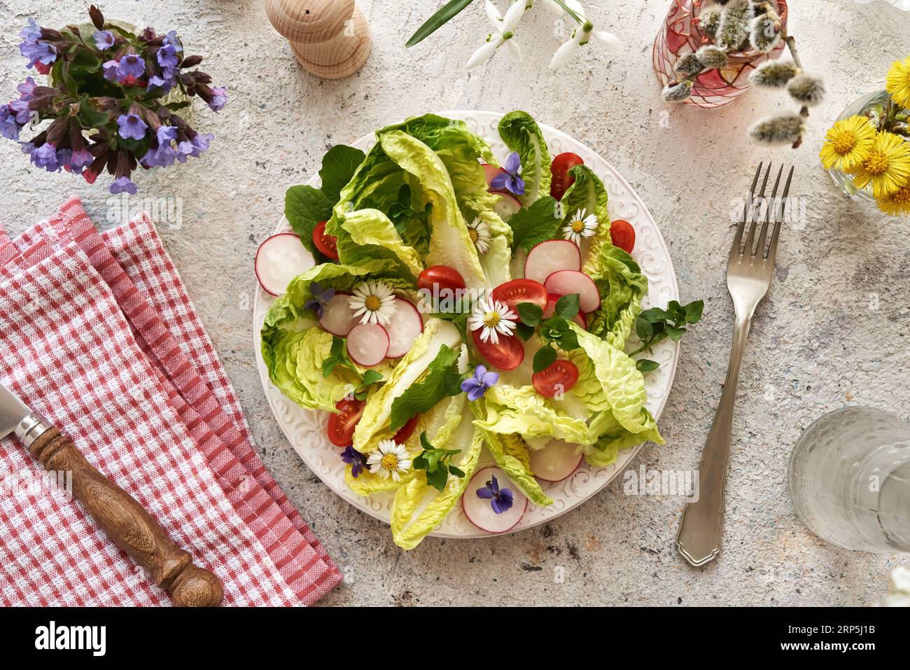 Fresh vegetable salad with wild edible plants harvested in early spring ...